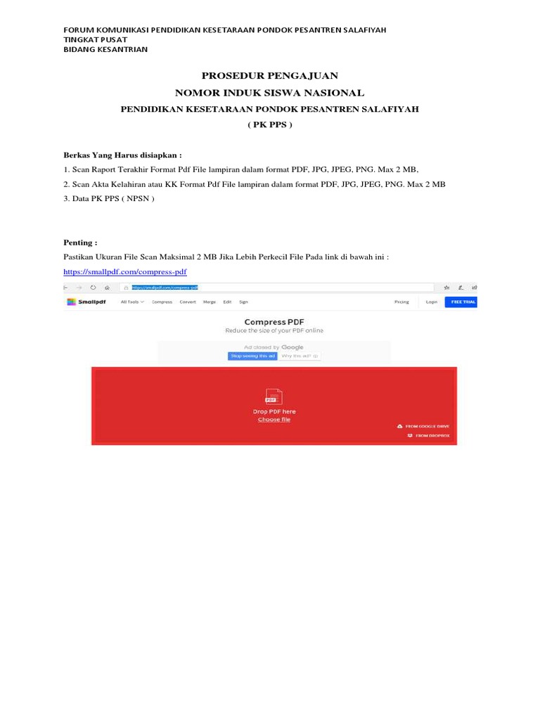 Prosedur Pengajuan Nisn PKPPS PDF | PDF