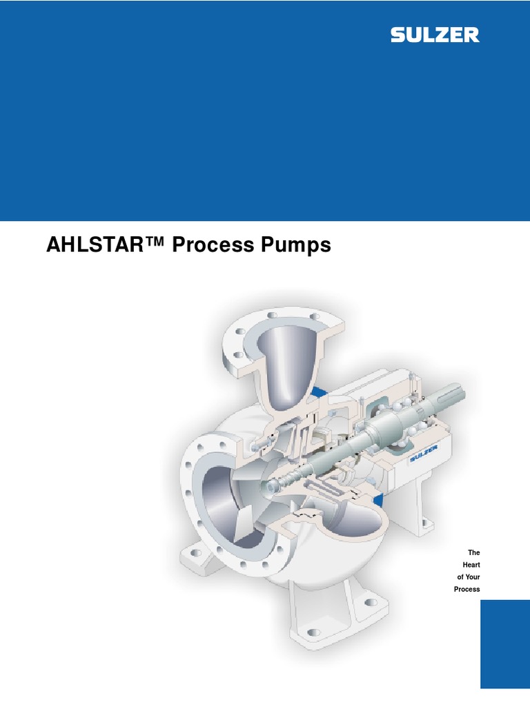 AHLSTAR™ Process Pumps: The Heart of Your Process | PDF | Stainless ...