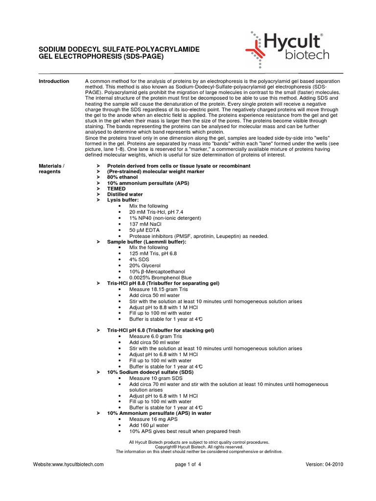 Protocol SDS | PDF | Gel Electrophoresis | Polyacrylamide Gel ...