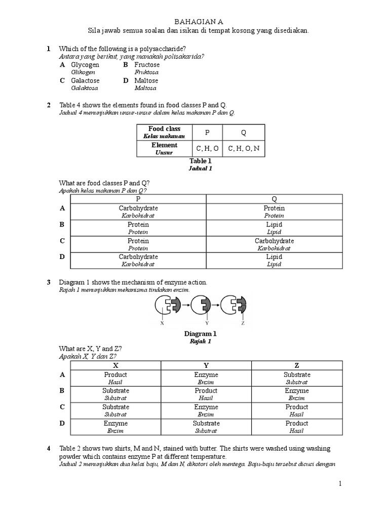 Soalan U2 f4 2019 | PDF | Meiosis | Cell Biology