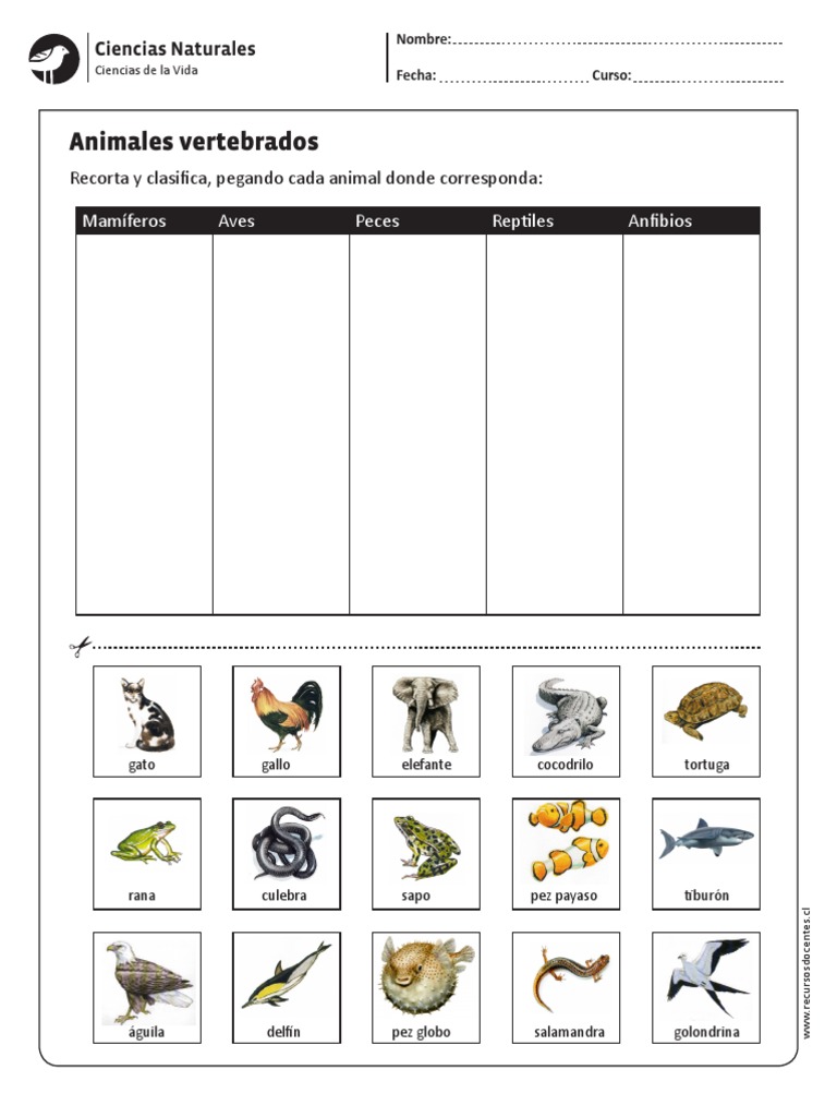 Clasificar Animales Vertebrados PDF | PDF