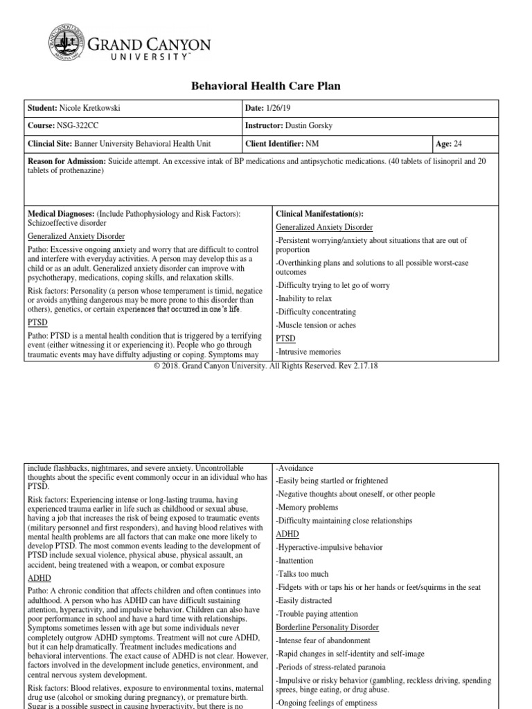 Behavioral Health Care Plan | PDF | Attention Deficit Hyperactivity ...