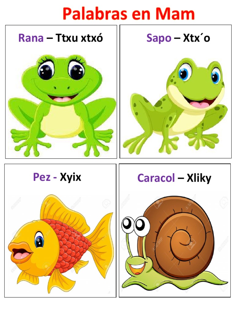 Animales en idioma Mam y español | PDF