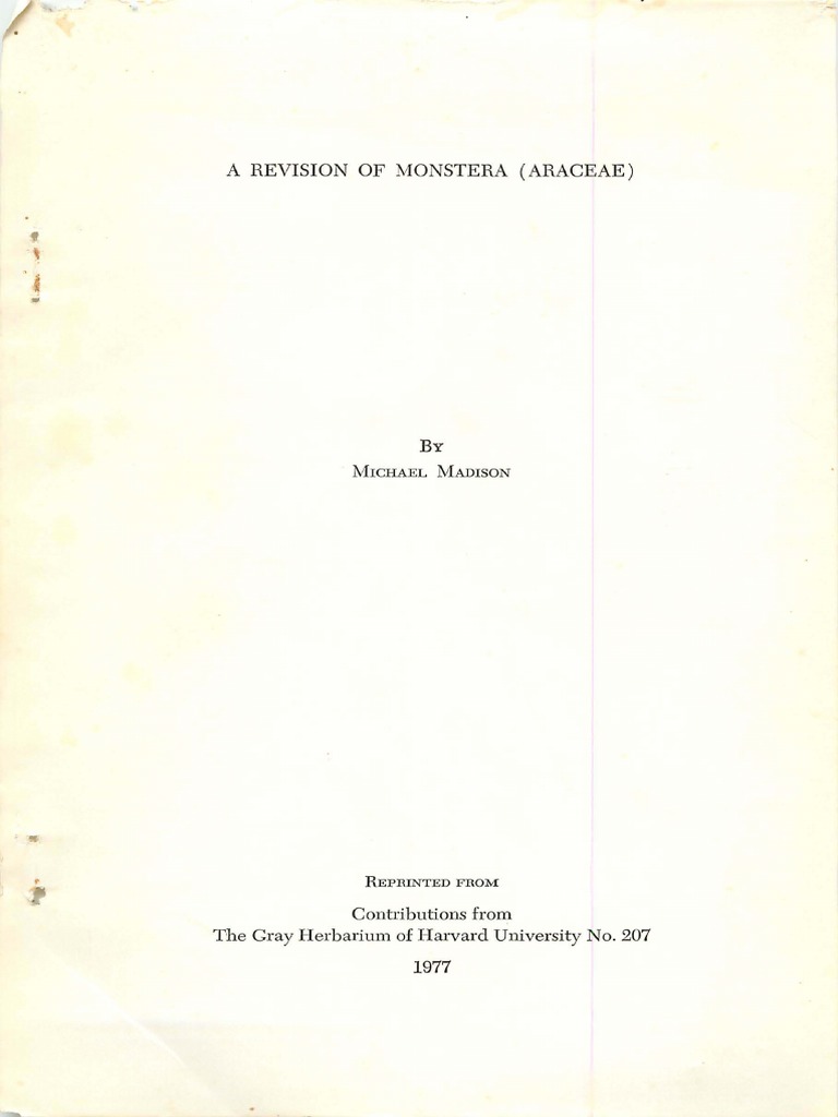 A Revision of Monstera (Araceae) | PDF | Leaf | Seed