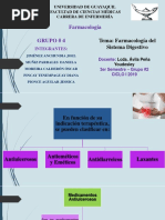 Prospecto DIGERIL | PDF