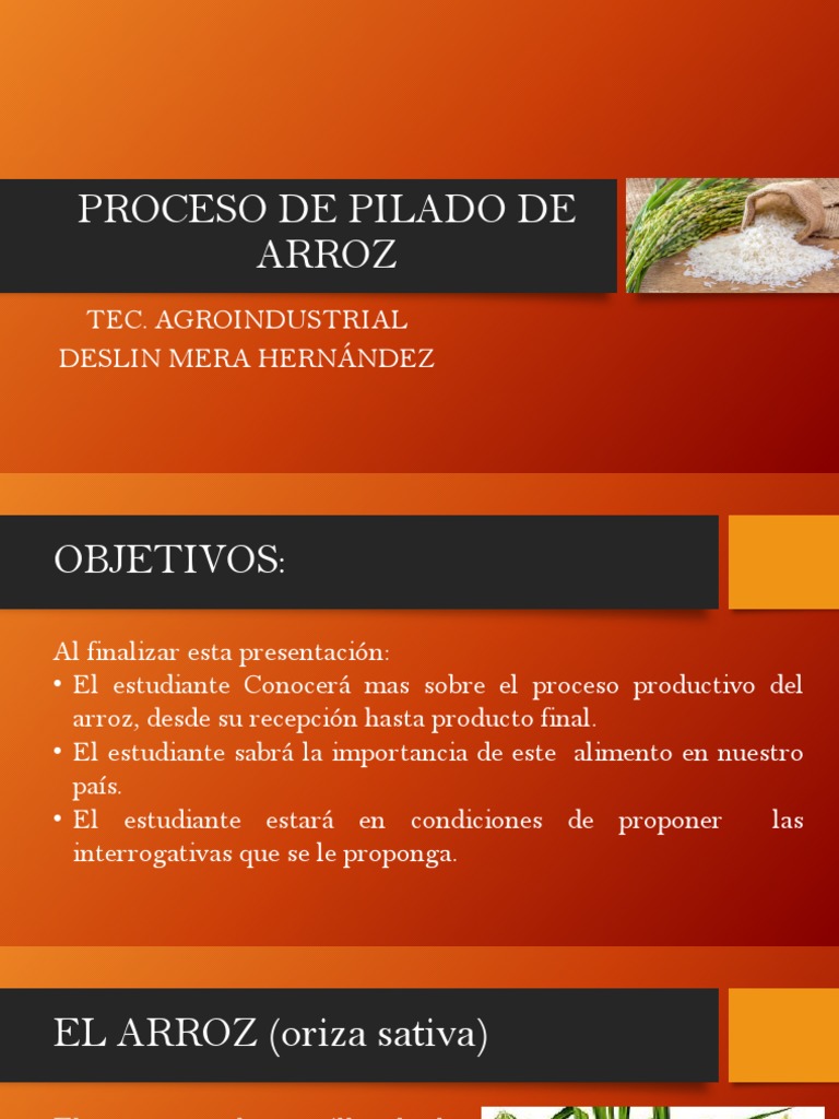 Pilado | PDF | Arroz | Cereales