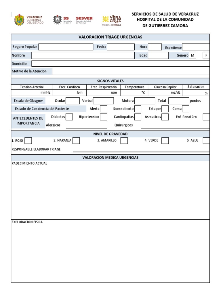 Formato Urgencias | PDF | Enfermedades y trastornos humanos | Hospital