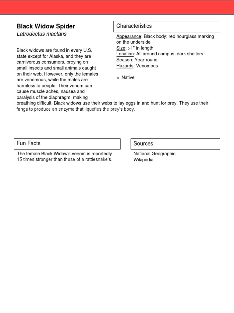 Black Widow Spider 1 | PDF | Young Adult