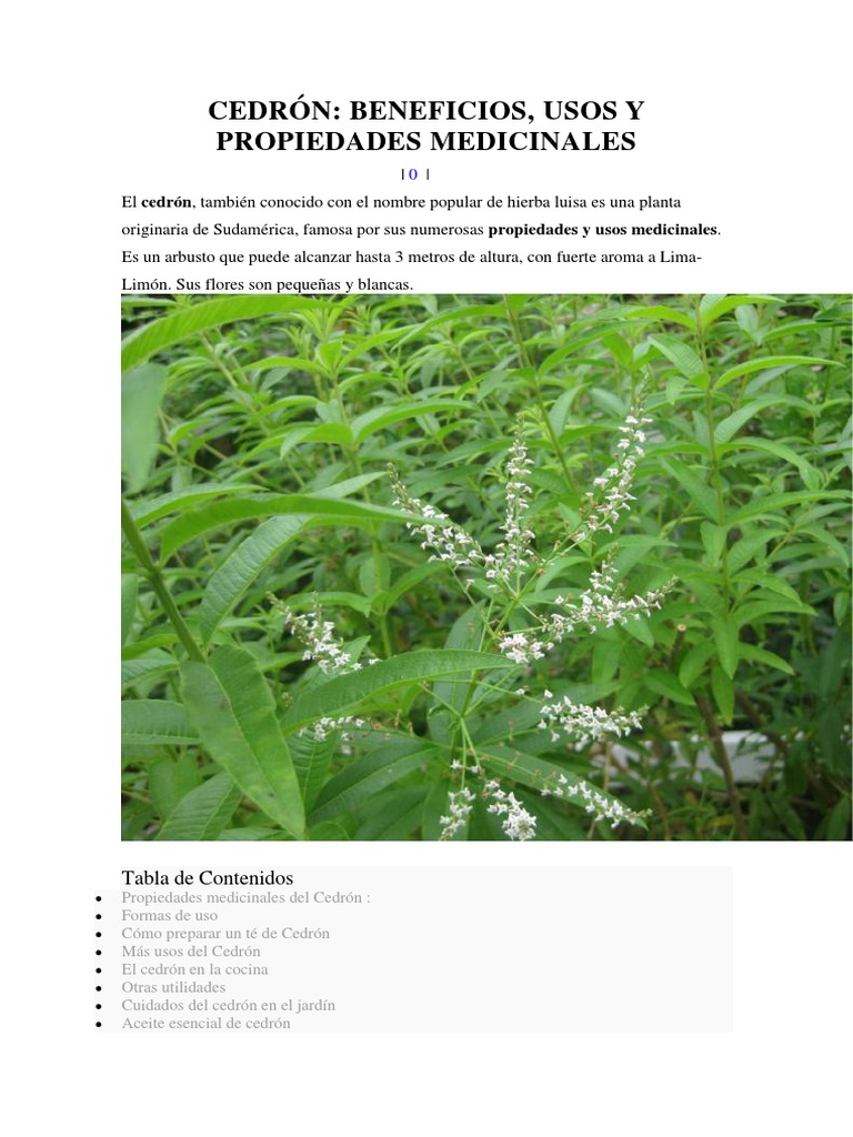 CEDRÓN | PDF | Té | Vesícula biliar