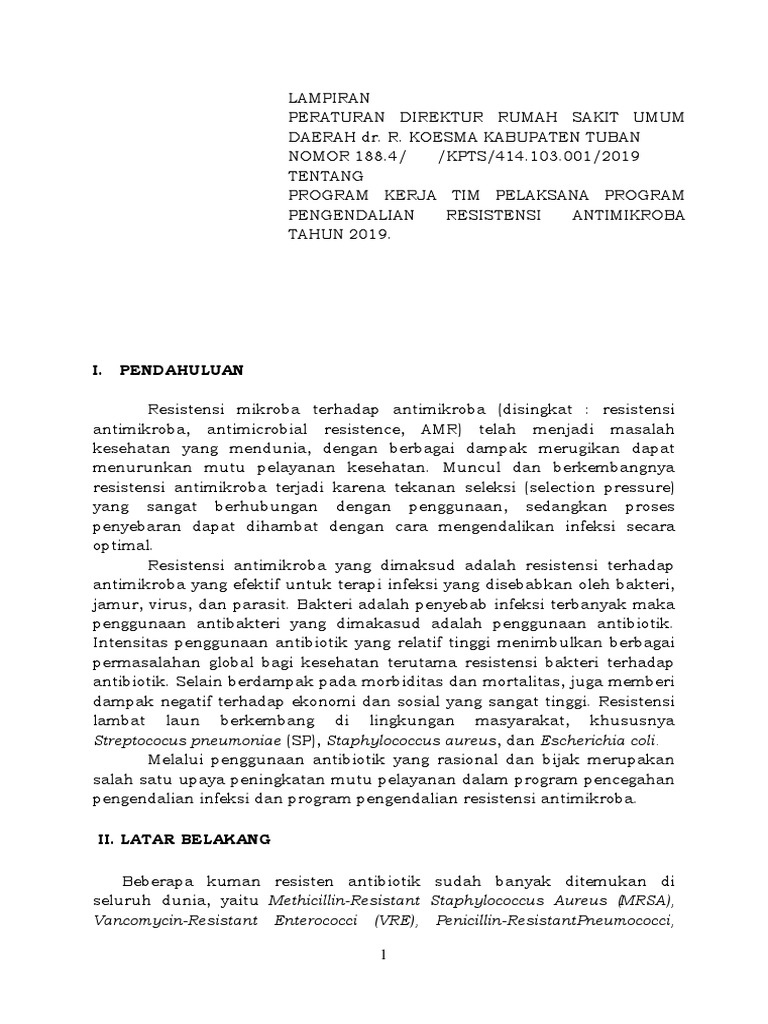 Program Kerja PPRA | PDF