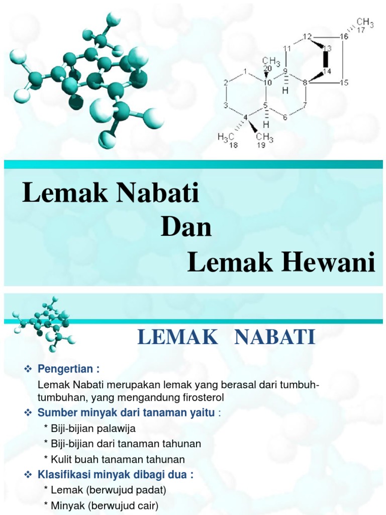 Lemak Nabati Dan Lemak Hewani | PDF | Memasak, Makanan, & Anggur