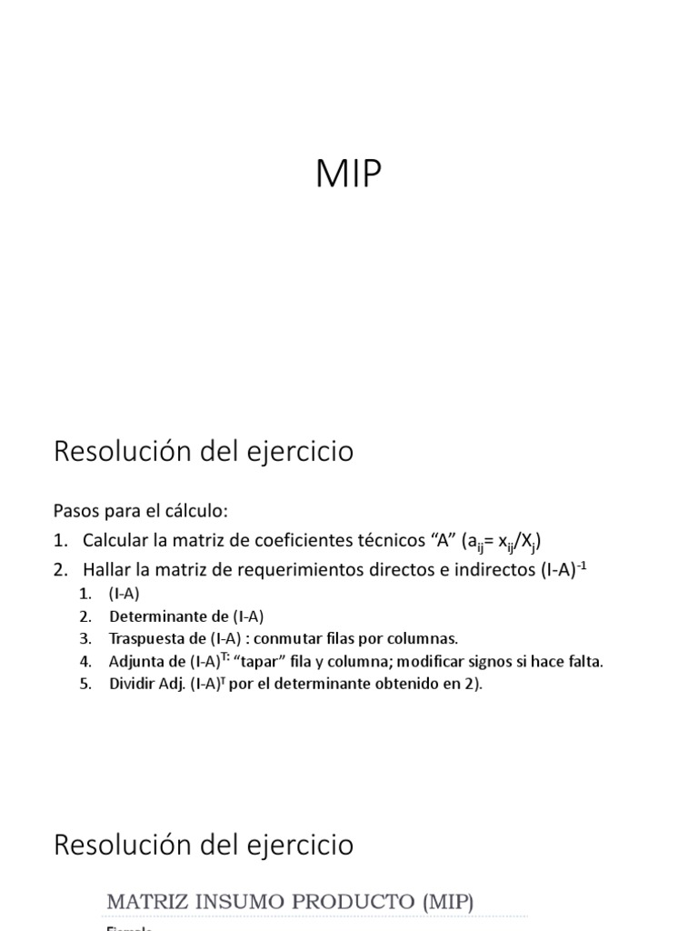 MIP Resolucion Ejercicio | PDF | Determinante | Álgebra