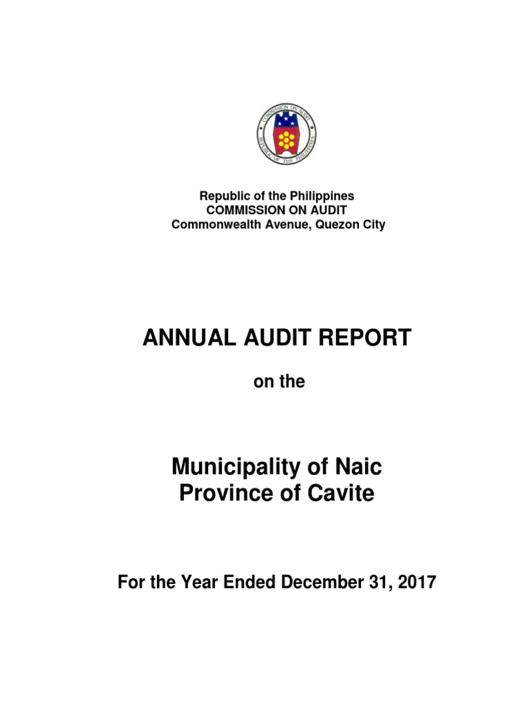 Annual Audit Report Naic 2017 | PDF | Expense | Revenue