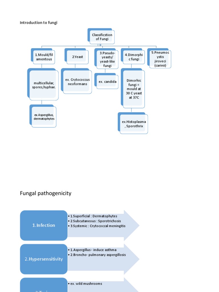 Introduction To Fungi: Ex - Aspergillus, Dermatophytes | PDF | Fungus ...