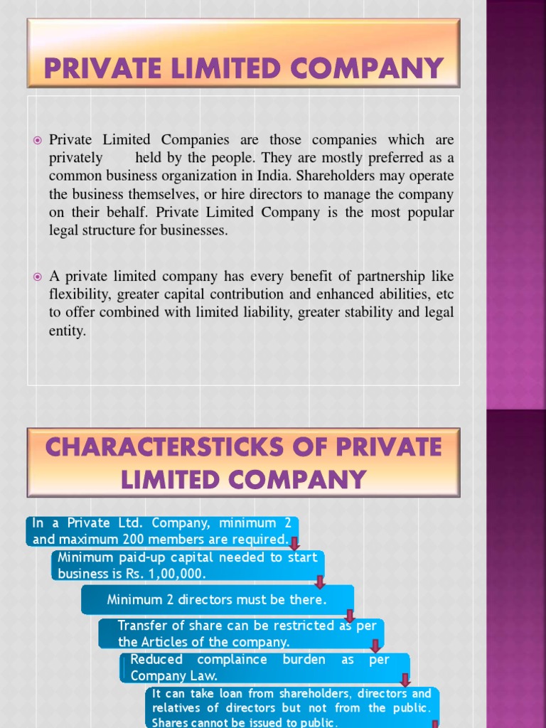 Private Limited Companies Explained | PDF | Limited Company | Companies