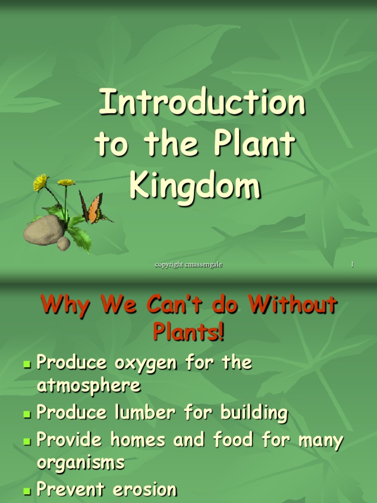 5 - Introduction To Plants | PDF | Plants | Plant Reproduction