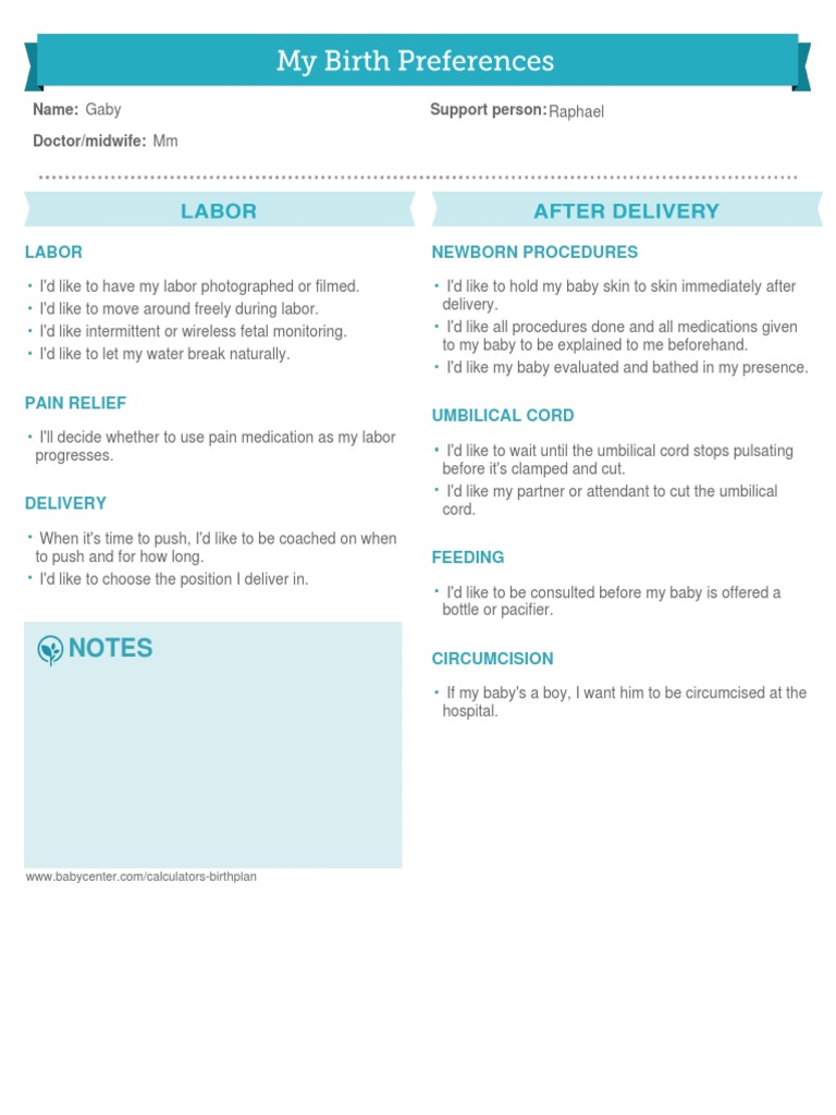Gaby's Personalized Birth Plan | PDF