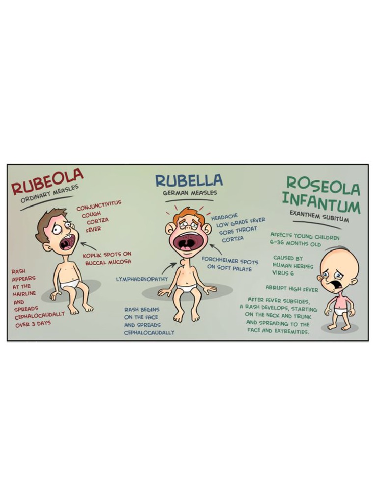 Childhood Rashes, Differential Diagnosis of Infectios Agent and ...