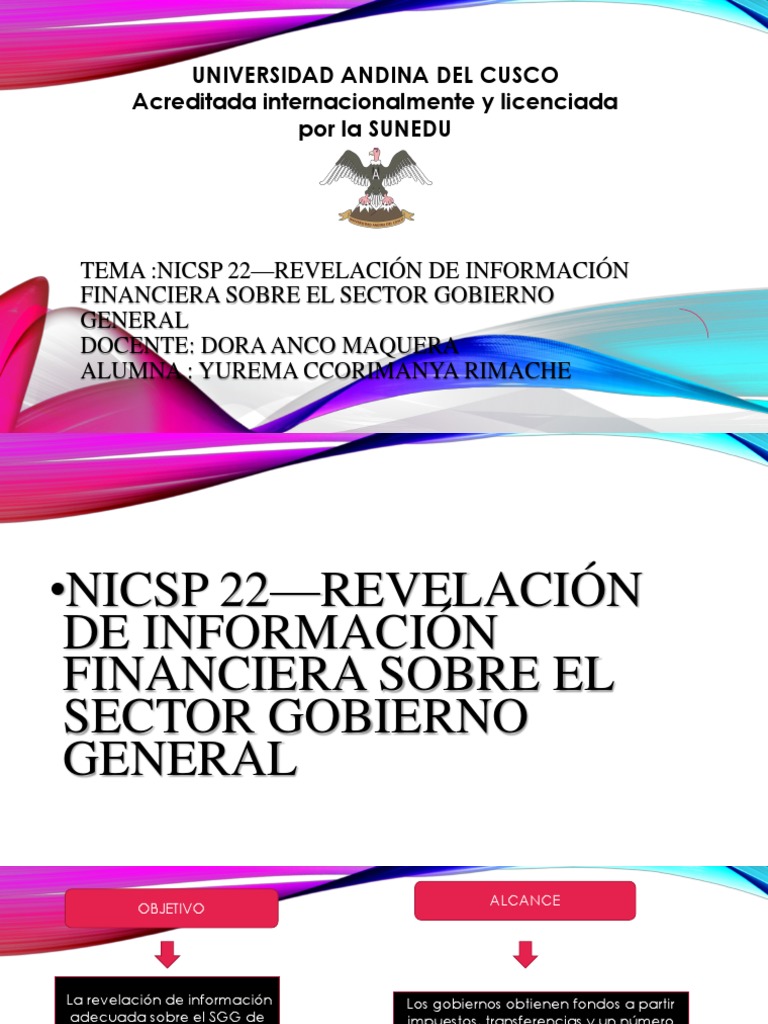 Nicsp 22 | PDF | Empresa de propiedad estatal | Mercado (economía)