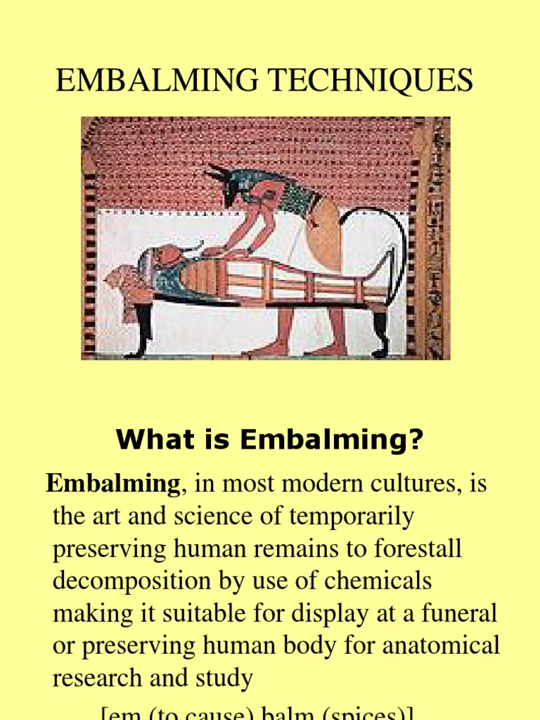 Embalming: Techniques & History | PDF | Artery | Vein