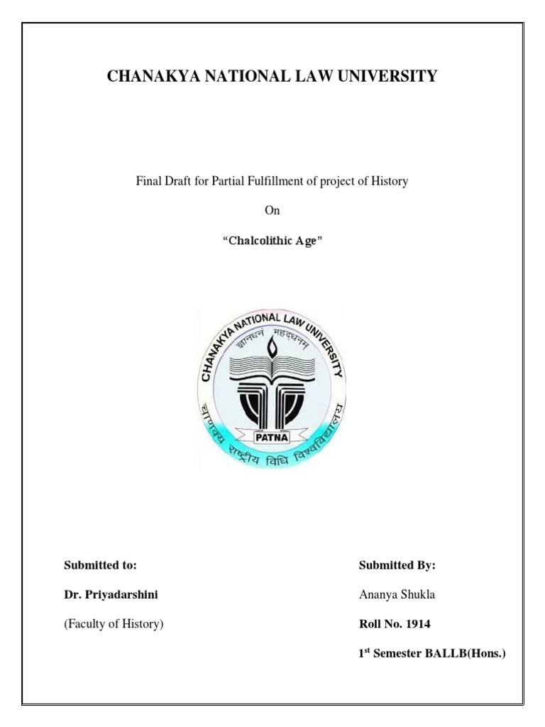 History Final Project | PDF | Archaeology | Nature