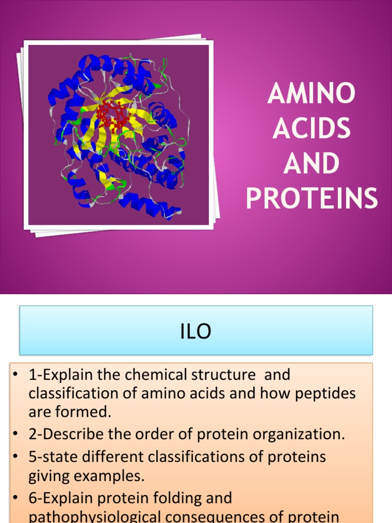Protein 3 | PDF | Biomolecular Structure | Protein Structure