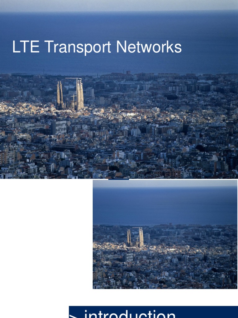 LTE Transport Networks | PDF | Quality Of Service | Lte (Telecommunication)
