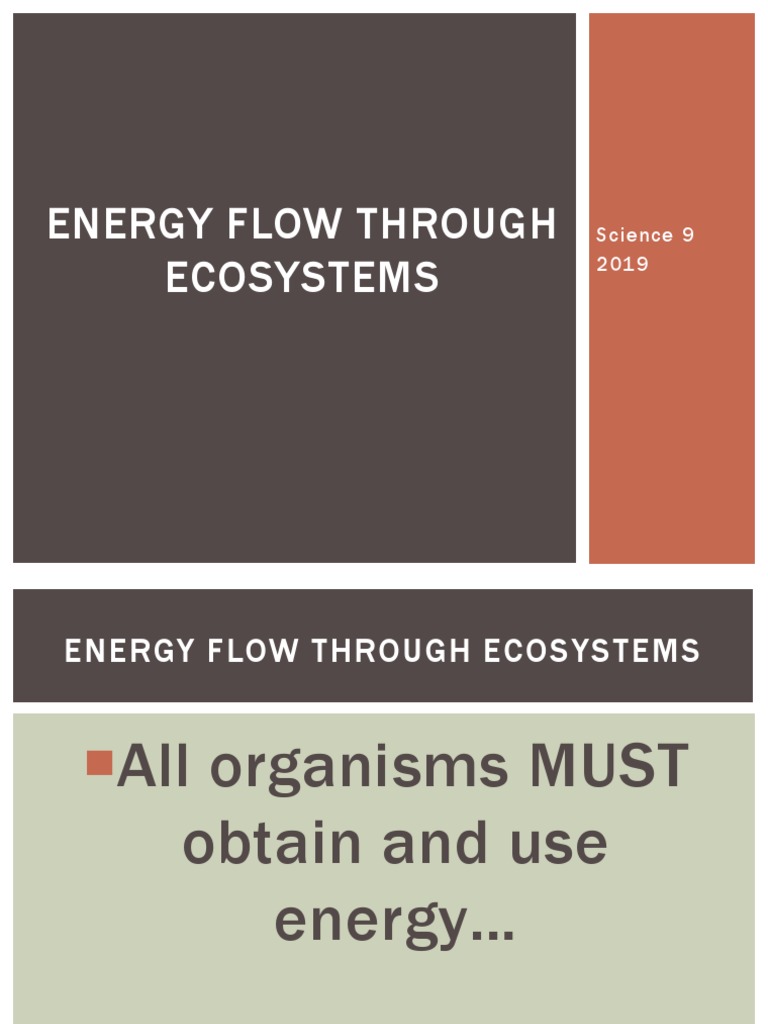 Energy Flow Through Ecosystems: Science 9 2019 | PDF | Ecosystem ...