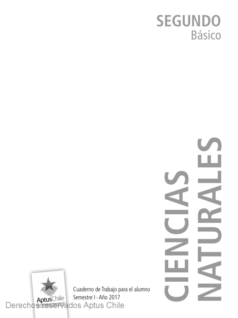 Segundo Ciencias | PDF | Pulmón | Corazón