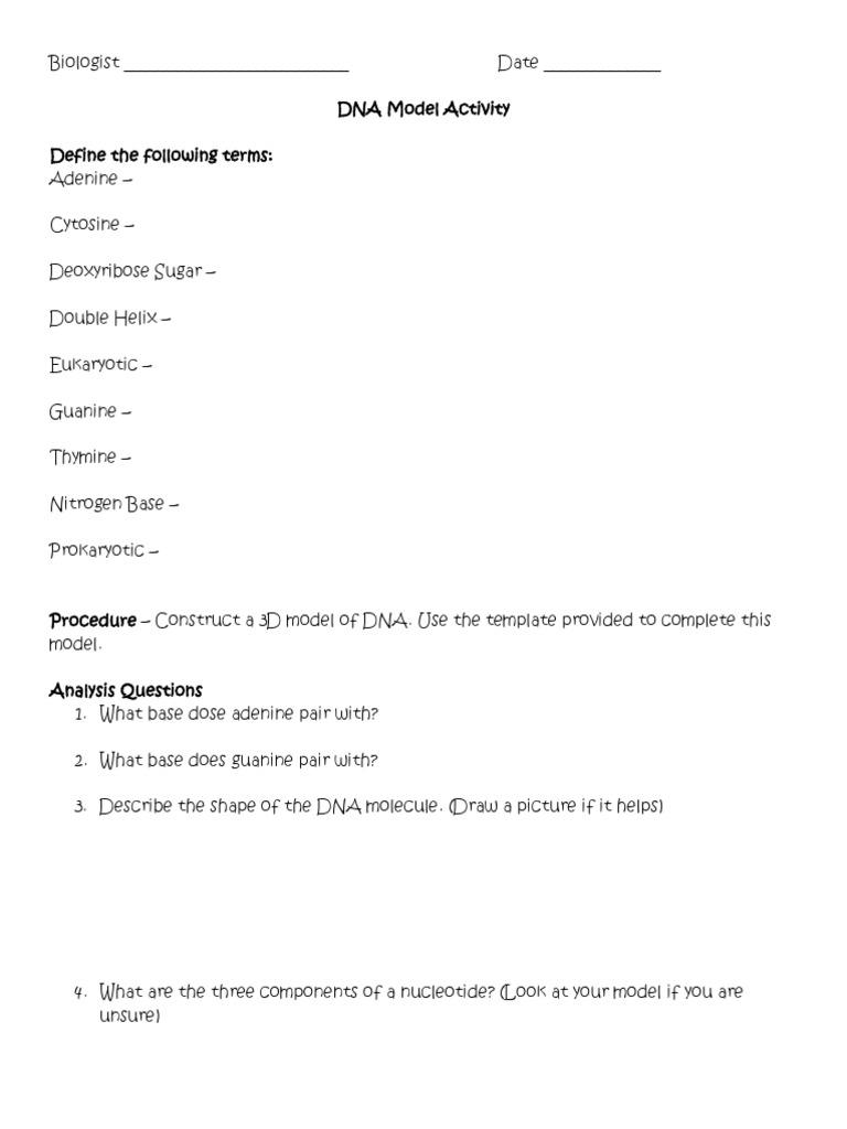 DNA Paper Model Lab Activity | PDF