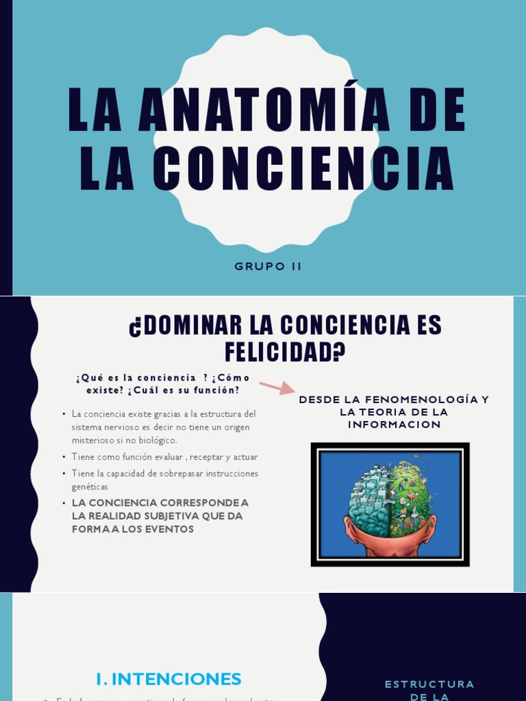 La Anatomía de La Conciencia | Descargar gratis PDF | Epistemología ...