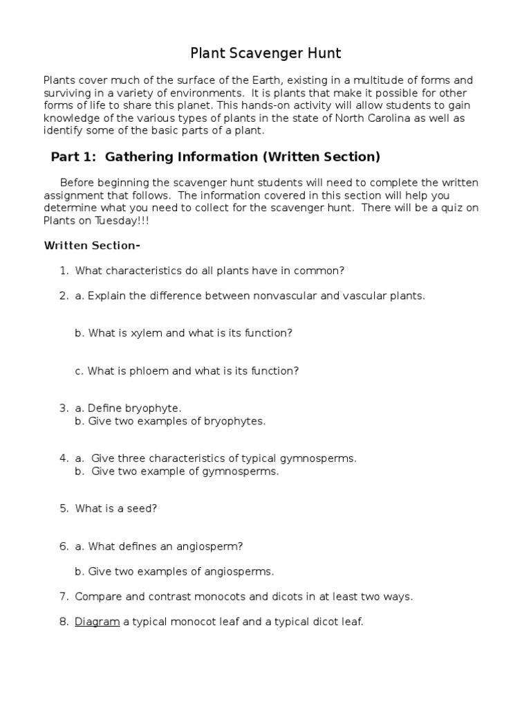 Plant Scavenger Hunt: Part 1: Gathering Information (Written Section ...