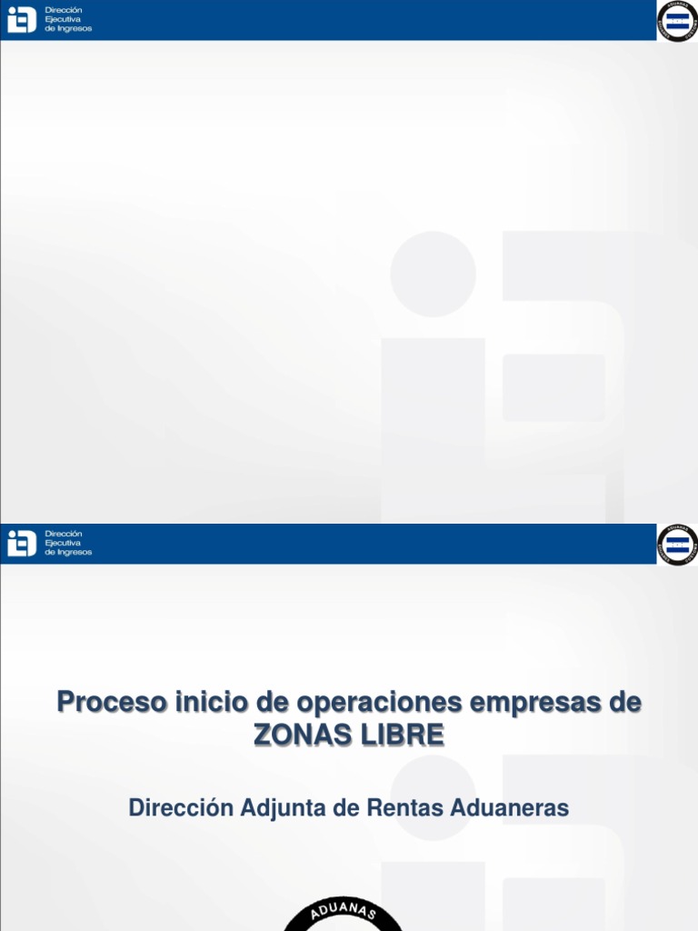Presentacion REGIMENES ESPECIALES | PDF | aduana | Business