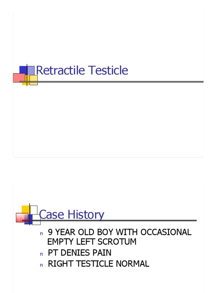 Test Retract | PDF | Testicle | Human Anatomy