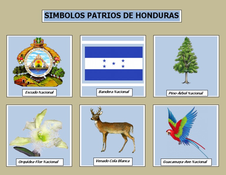Simbolor Patrios de Honduras | PDF