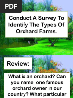 Module 4 Preparing Layout Design For Orchard | PDF | Rectangle | Orchard