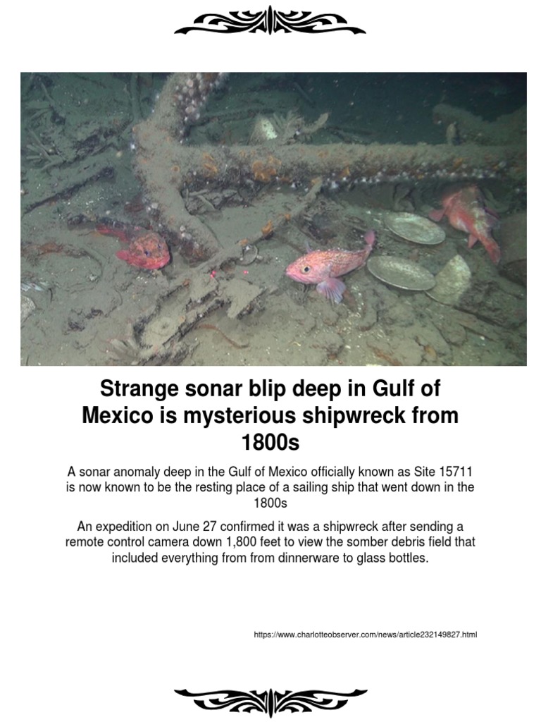 Strange Sonar Blip Deep in Gulf of Mexico Is Mysterious Shipwreck From ...