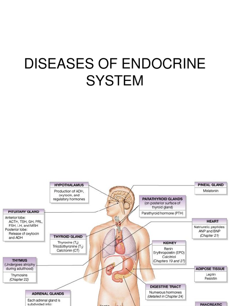 Disorders of the Endocrine System: A Comprehensive Review of Diseases ...