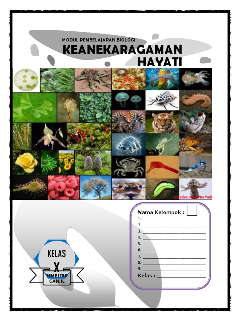 Modul Biologi Kelas X Mia PDF | PDF