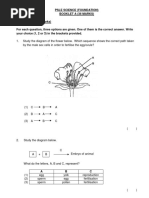 Sample OAS Sheet | PDF | Optics | Electromagnetic Radiation