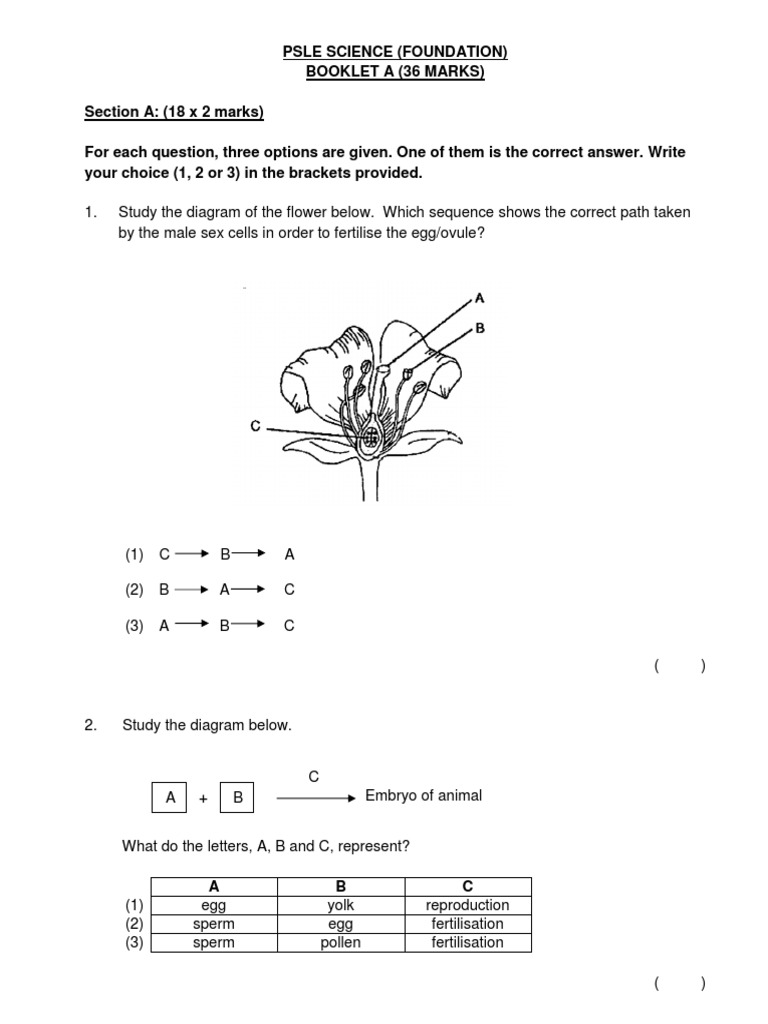 PSLE Foundation Science 2018 Paper | PDF | Fertilisation | Water