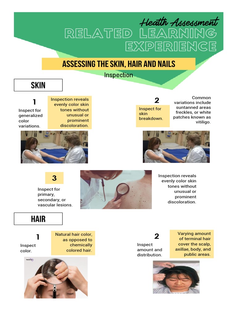 Skin, Hair, and Nails Assessment Guide | PDF | Nail (Anatomy) | Skin