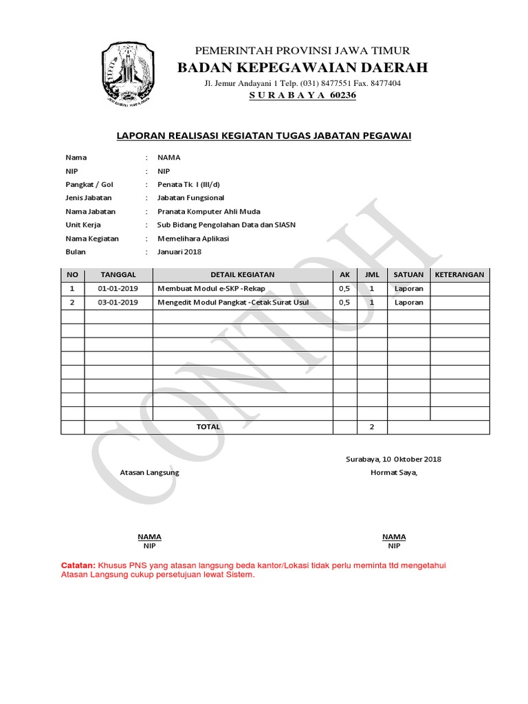 Form Realisasi SKP JFT | PDF