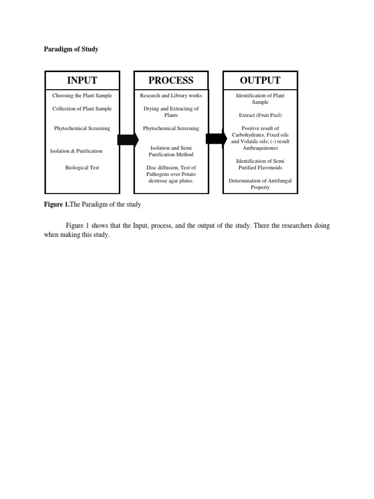 Process Output Input: Paradigm of Study | PDF