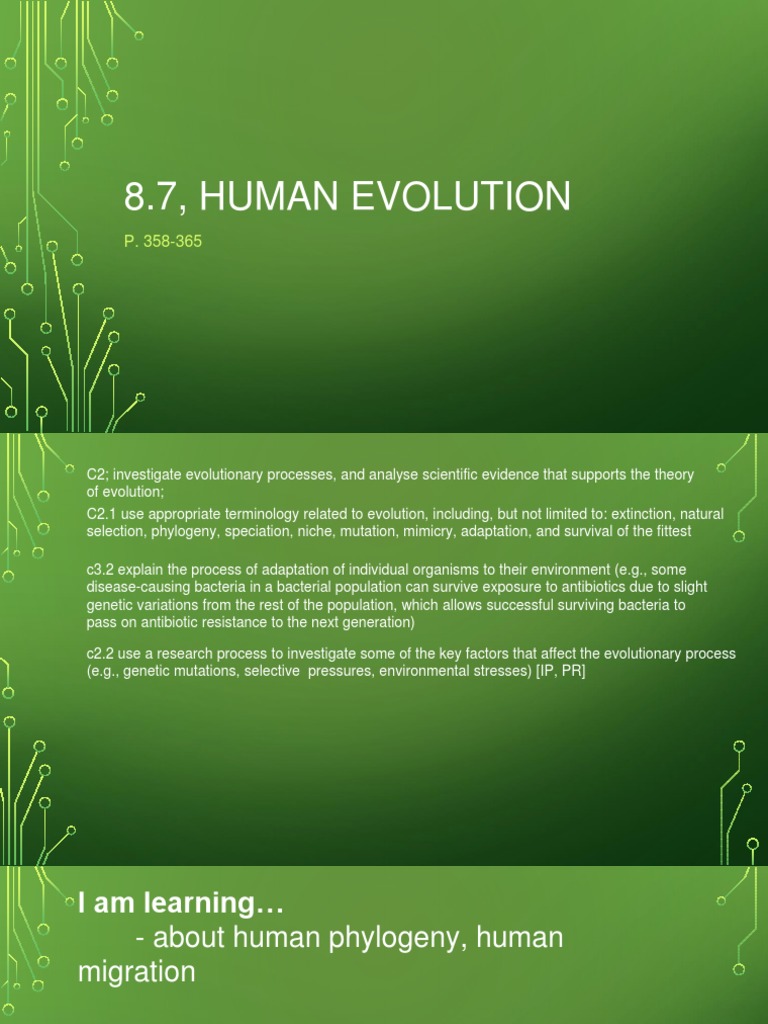 Human Evolution | PDF