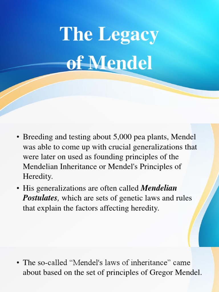 Mendel's Legacy | PDF | Dominance (Genetics) | Heredity