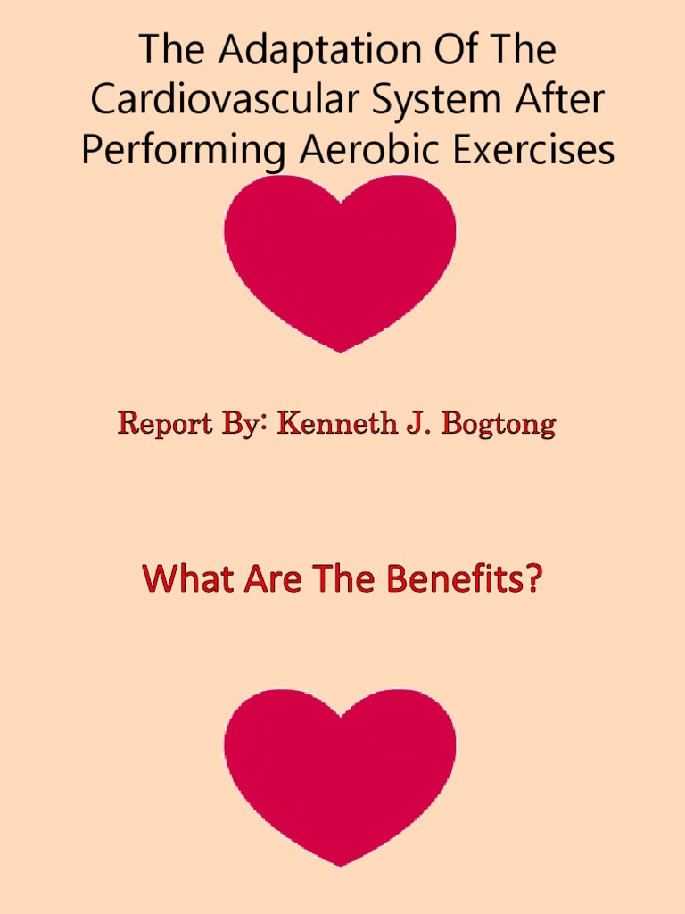 The Adaptation of The Cardiovascular System After Performing Aerobic ...
