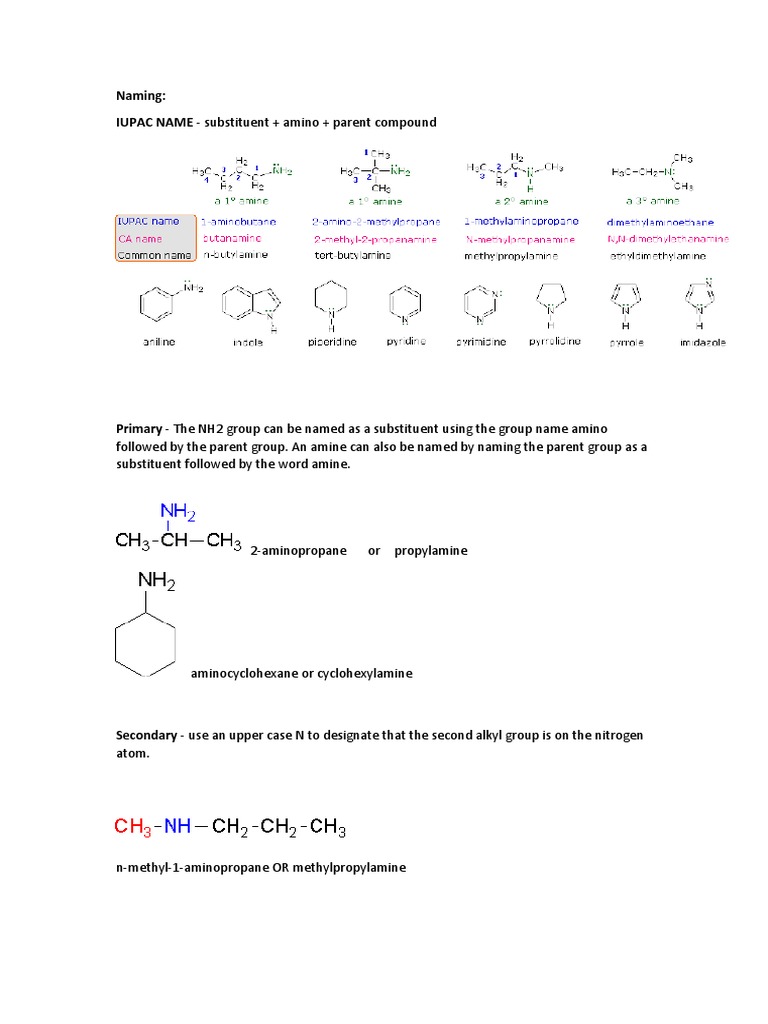 IUPAC Amines Naming Guide | PDF