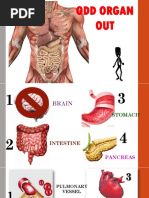 Classification of Traditional African Instruments | PDF