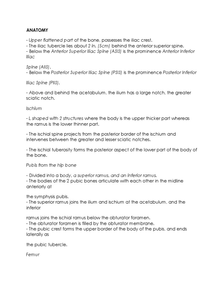 Iliac Spine (AIIS) - Iliac Spine (PIIS) .: Anatomy | PDF | Pelvis ...
